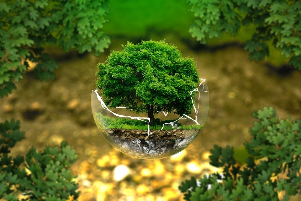 Environmental Issues That Affect Public Health Environmental Issues That Affect Public Health