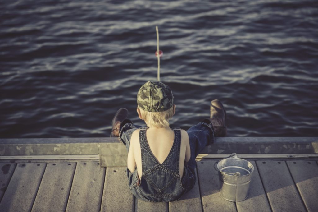5 Super Interesting Facts About Fish and Fishing - My Zeo