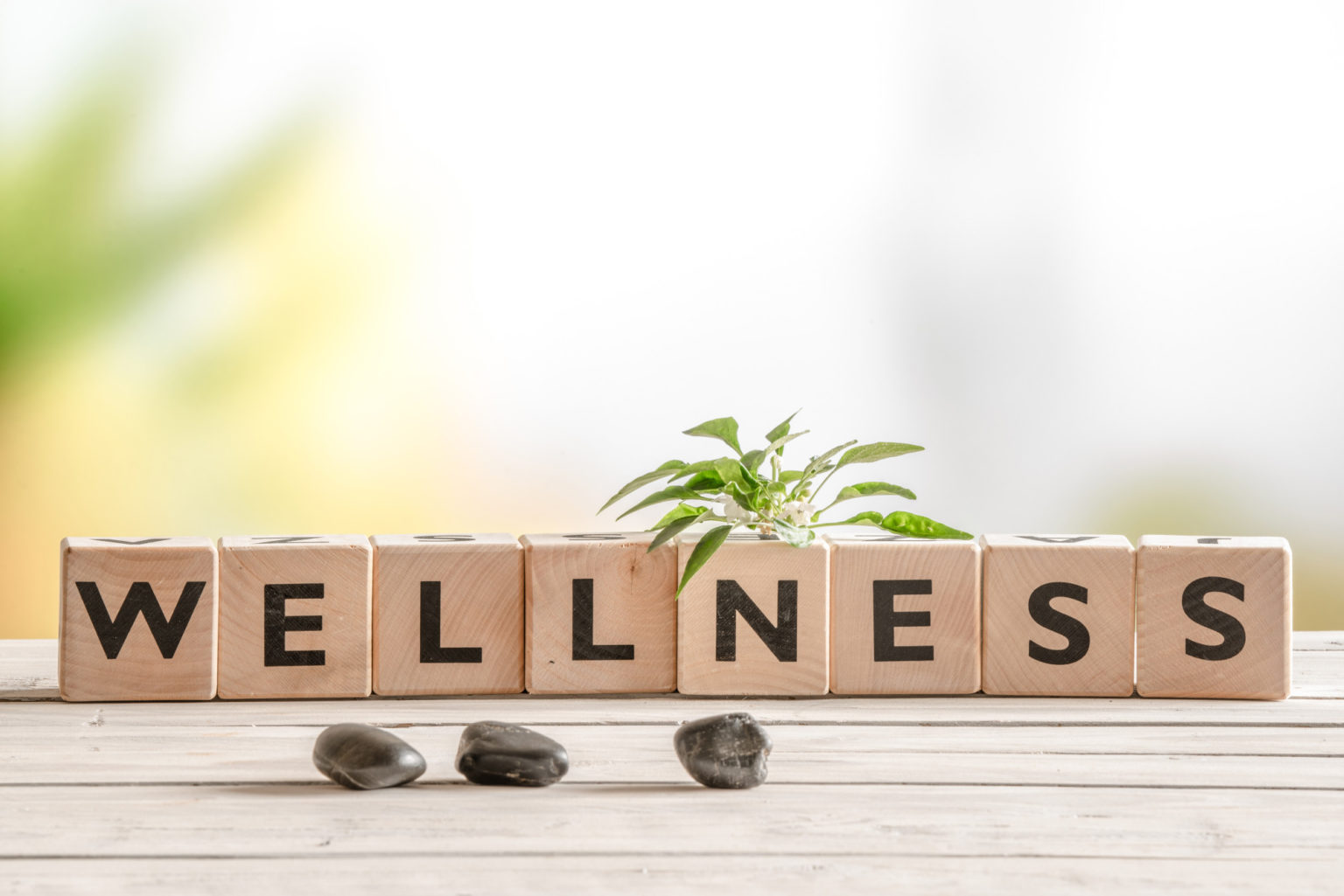What Are the 6 Dimensions of Wellness? A Simple Guide to Wellness | My Zeo