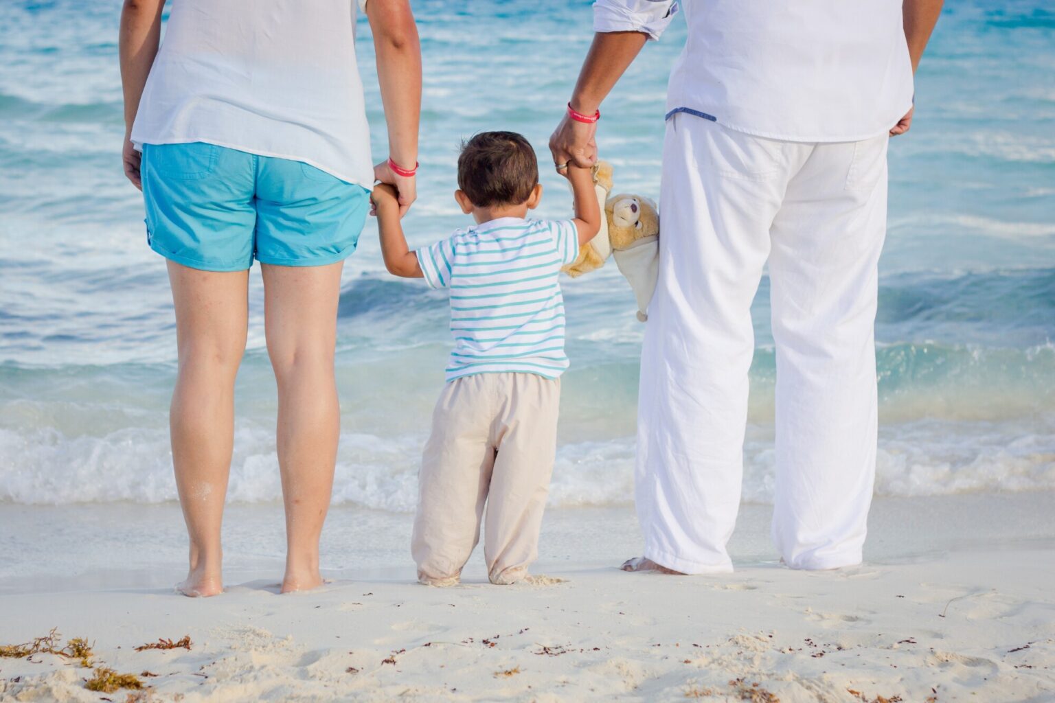 The Brief Guide That Makes Creating a Family Video Montage Simple | My Zeo