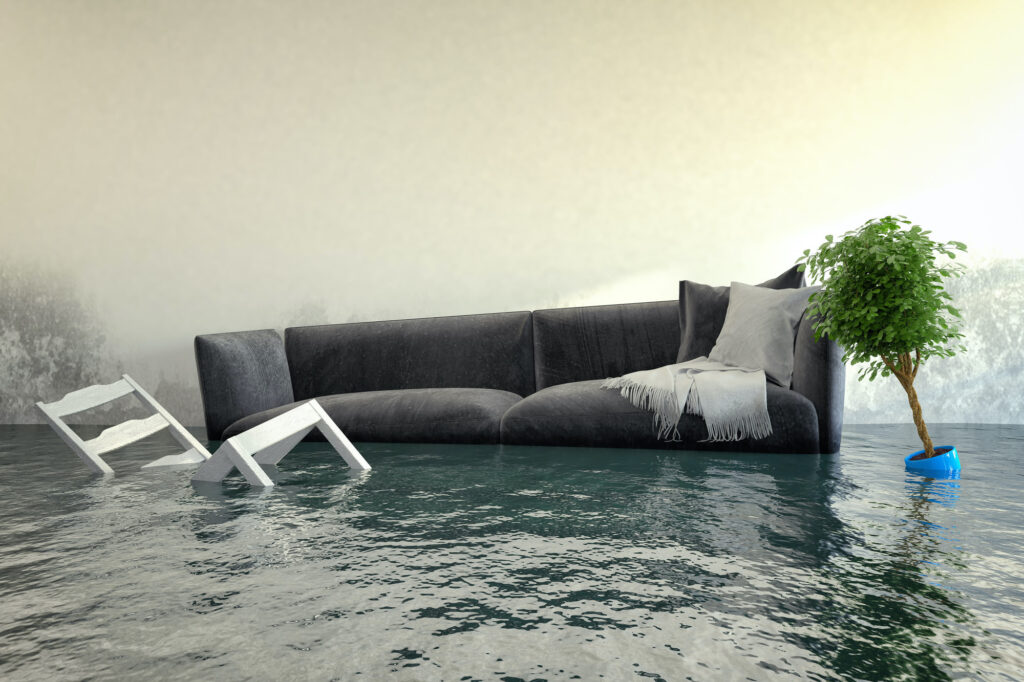 5 Proven Basement Flooding Solutions for Homeowners | My Zeo