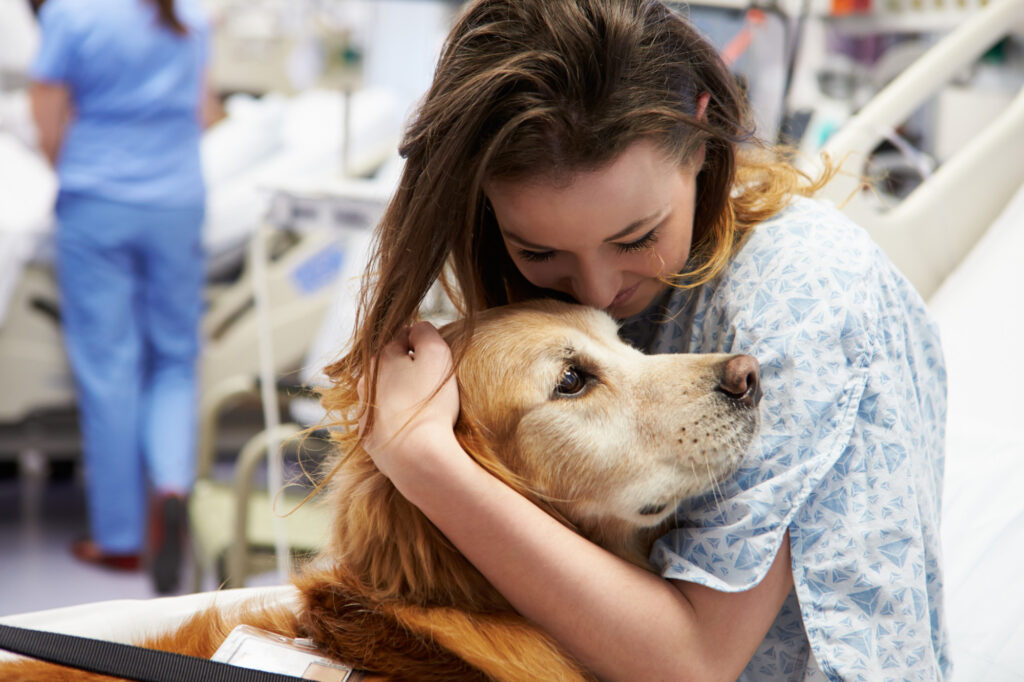 What Is A Therapy Dog 